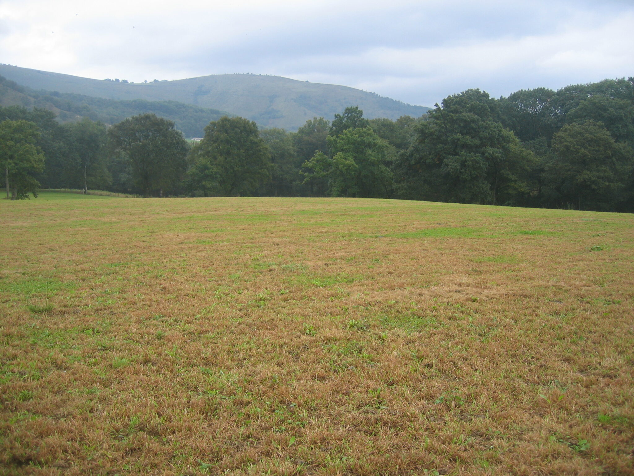 PEI-Emergence Cirphis : développer une solution agroécologique de lutte ...